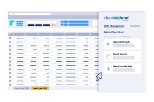 ExtendInsights: NetSuite and Excel Integration - CloudExtend